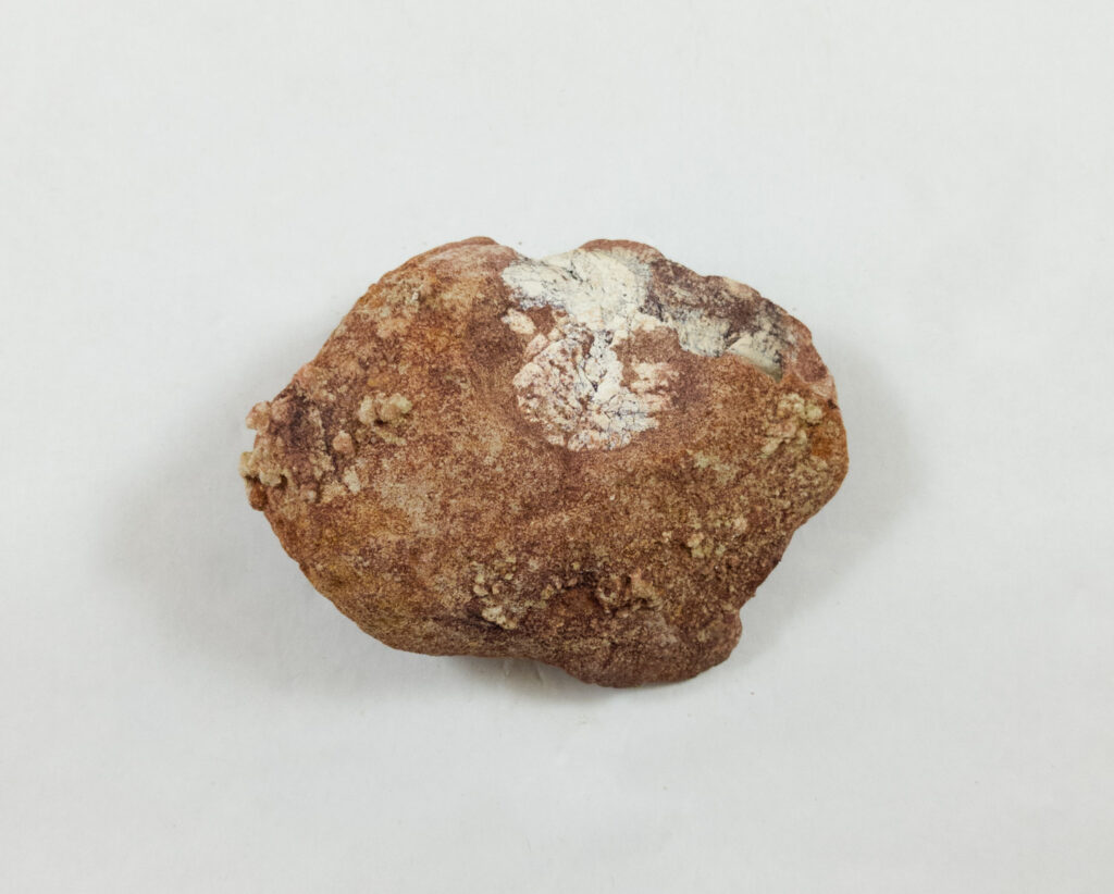 Coprólito de Espinossauro 7: Spinosaurus sp.