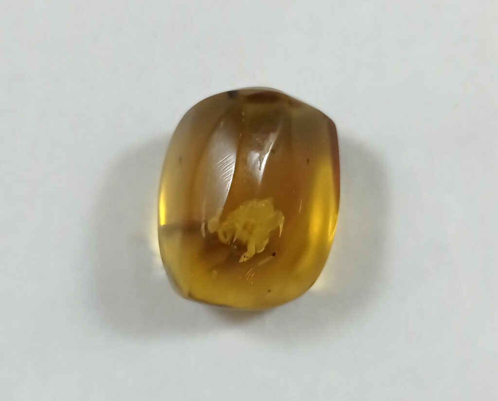 Âmbar de Chiapas (México)